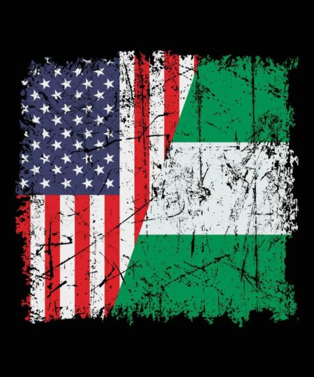 U.S. Flags Nigeria’s Trade Barriers, Port Delays, and Customs ...