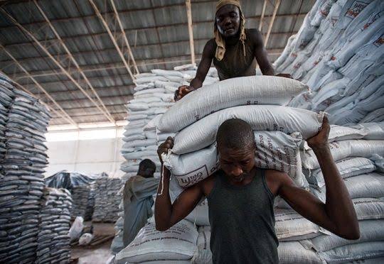 From Imports to Exports: Nigeria’s Transition to a Global Fertilizer ...